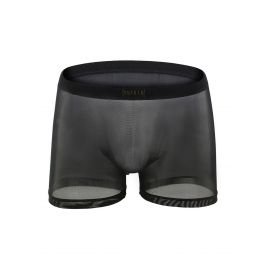 Men's Sexy Sheer Mesh Shorts Boxer Briefs Underwear